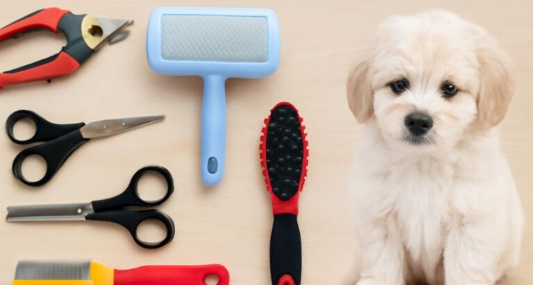 Dog Grooming Kit for Beginners: Essential Tools You Need
